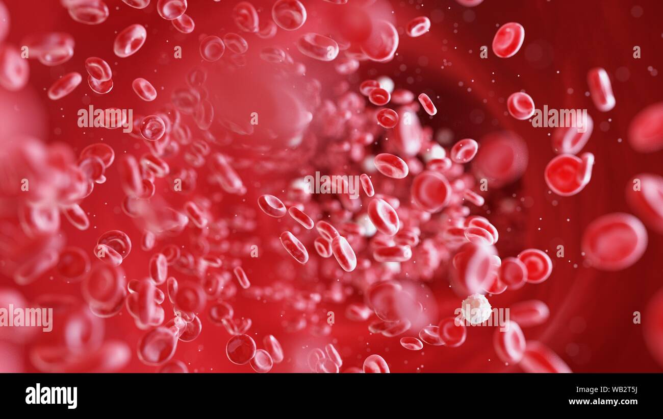 Blood cells, computer illustration Stock Photo - Alamy