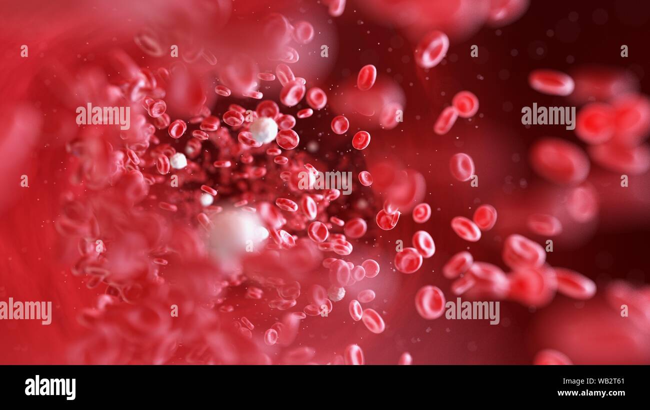 Blood cells, computer illustration Stock Photo - Alamy