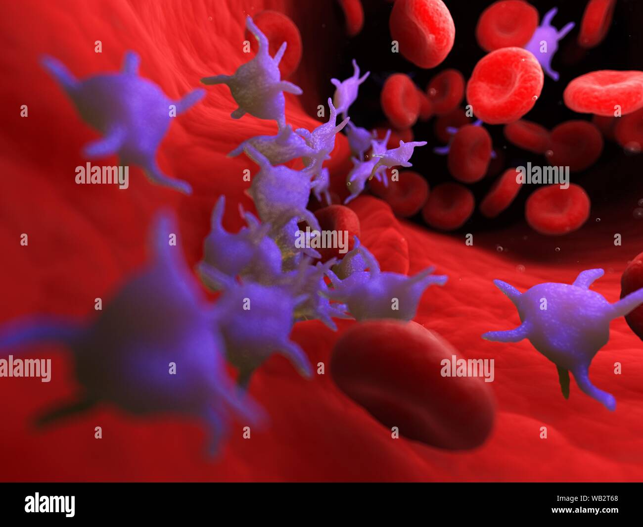 Active blood platelets, computer illustration Stock Photo - Alamy