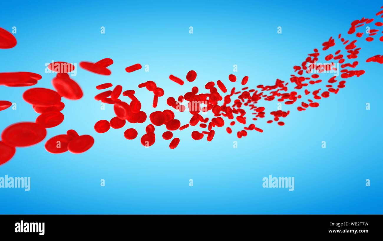 Red blood cells, computer illustration Stock Photo - Alamy