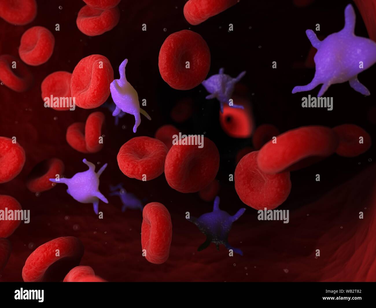 Platelets isolated hi-res stock photography and images - Alamy
