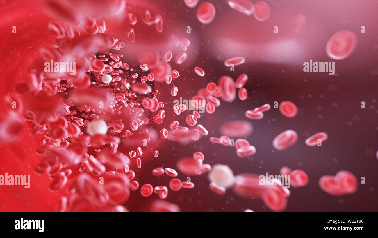 Blood cells, computer illustration Stock Photo - Alamy