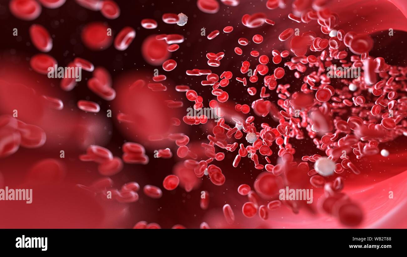 Blood cells, computer illustration Stock Photo - Alamy