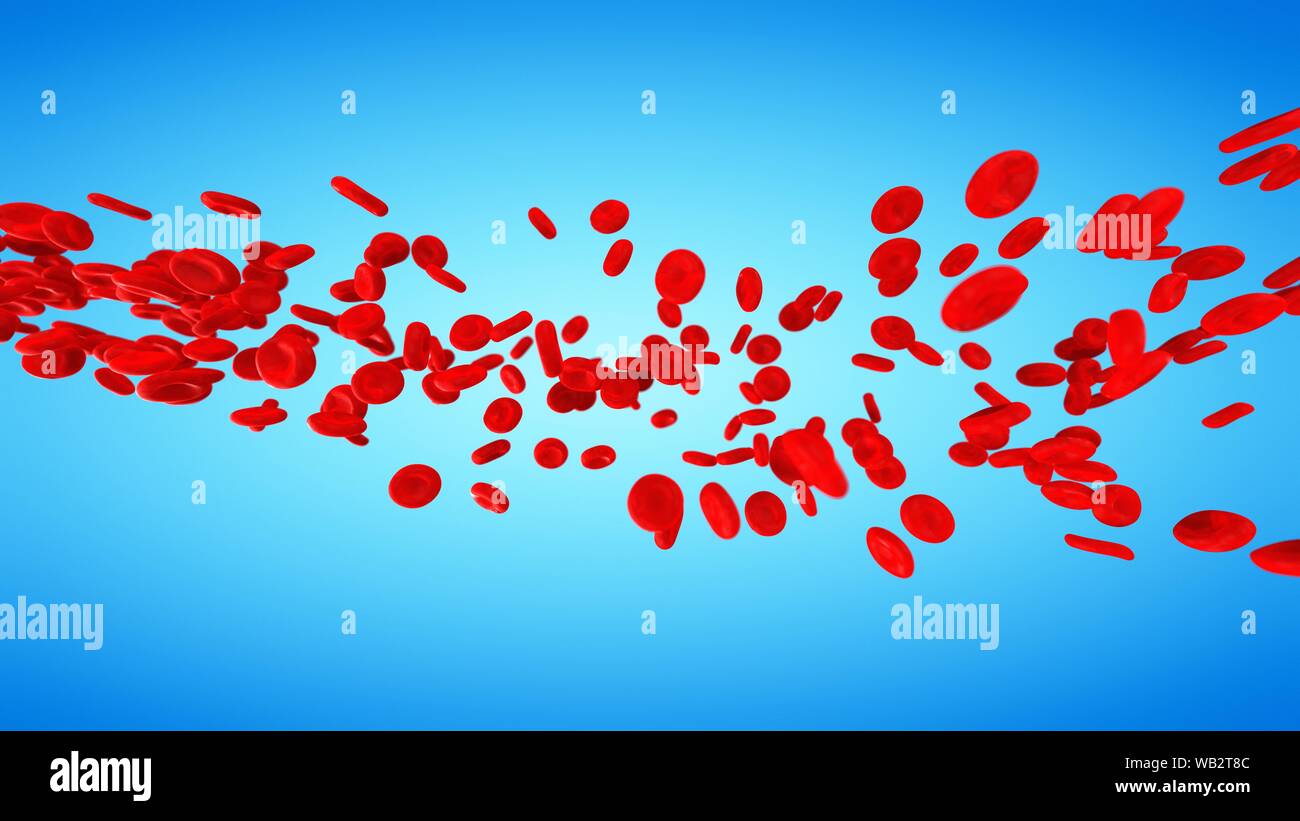 Red blood cells, computer illustration Stock Photo - Alamy