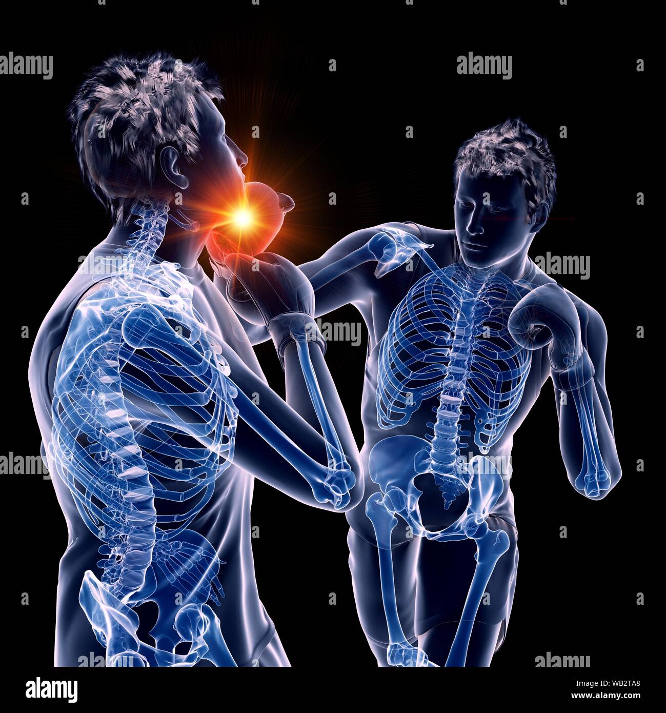 Two men boxing, computer illustration Stock Photo - Alamy