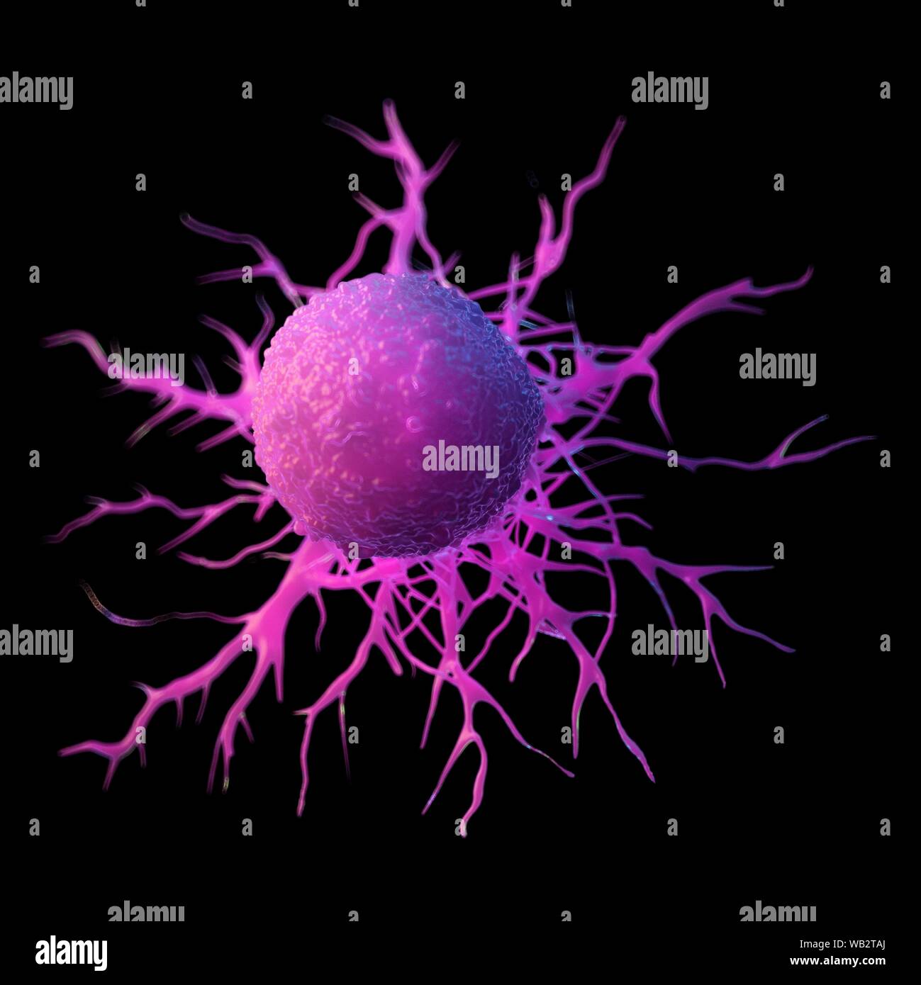 Cancer cell, computer illustration Stock Photo - Alamy