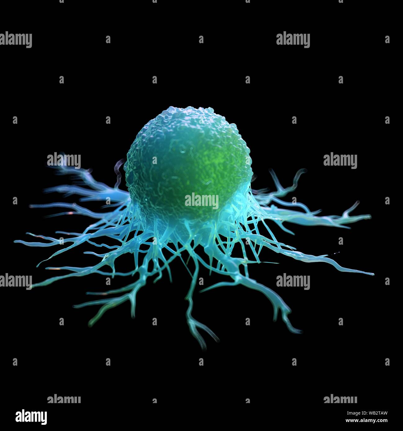 Cancer cell, computer illustration Stock Photo - Alamy