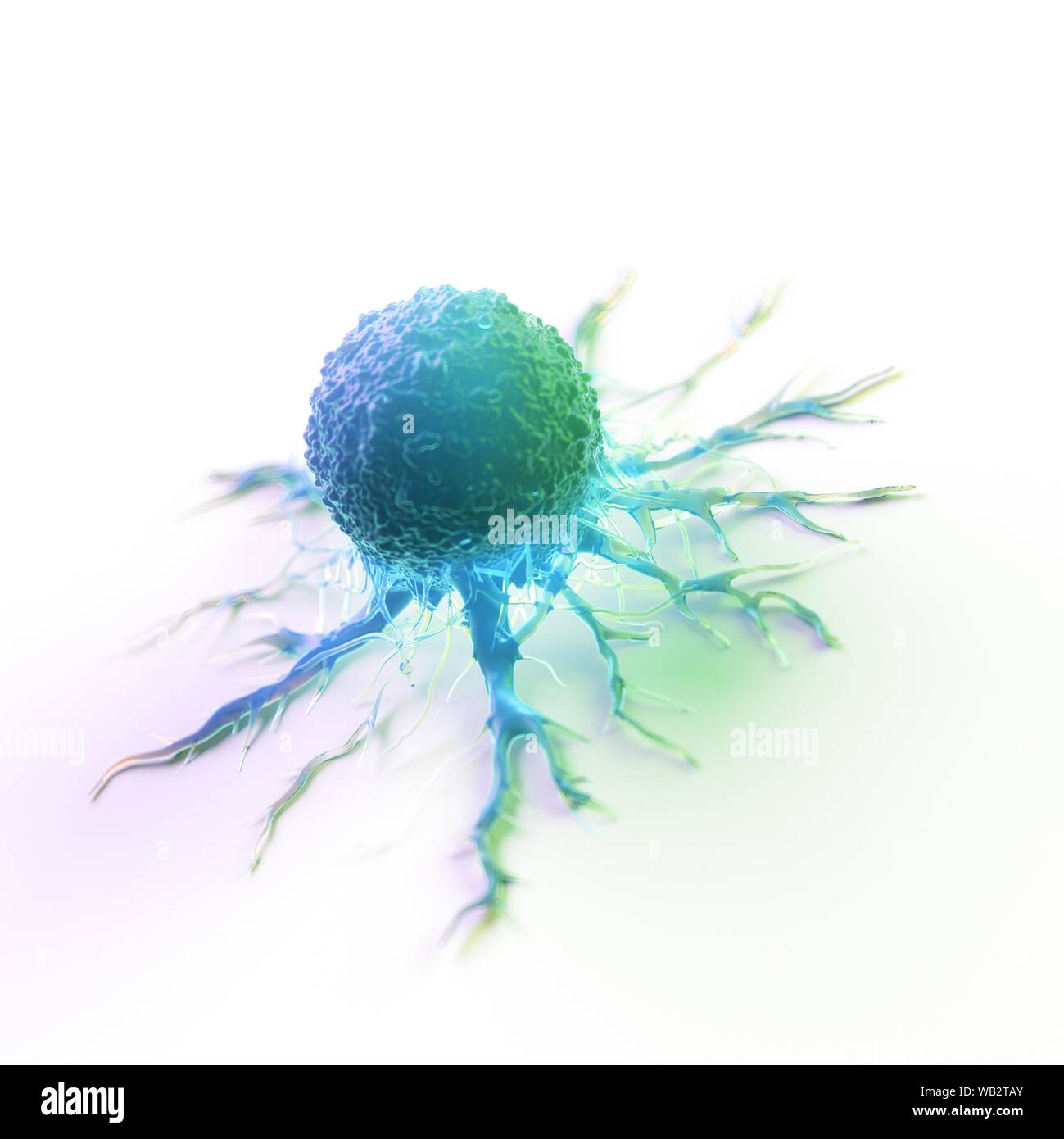 Cancer cell, computer illustration Stock Photo - Alamy