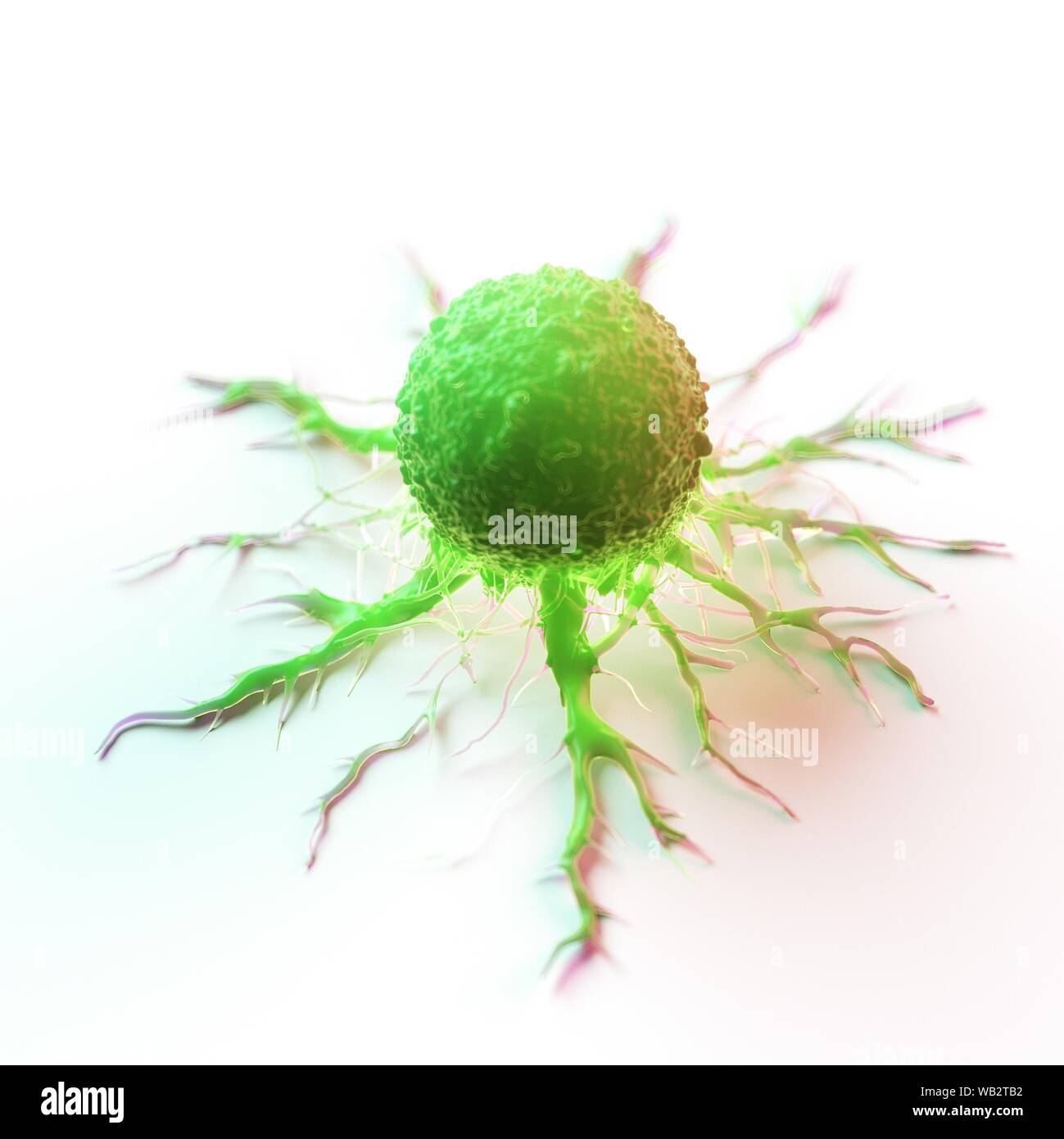 Cancer cell, computer illustration Stock Photo - Alamy