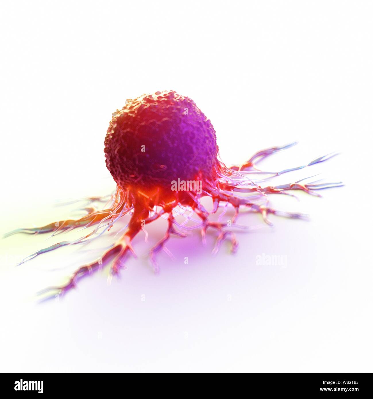 Cancer cell, computer illustration Stock Photo - Alamy