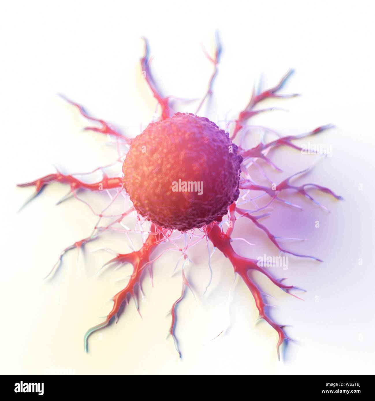 Cancer cell, computer illustration Stock Photo - Alamy