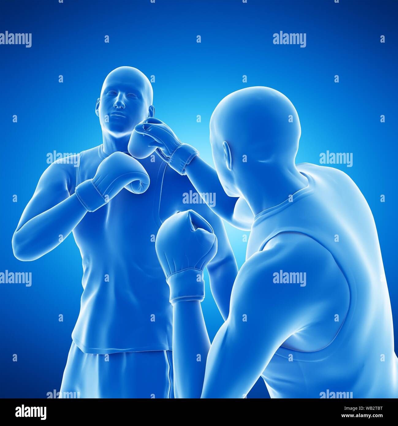 Two men boxing, computer illustration Stock Photo - Alamy