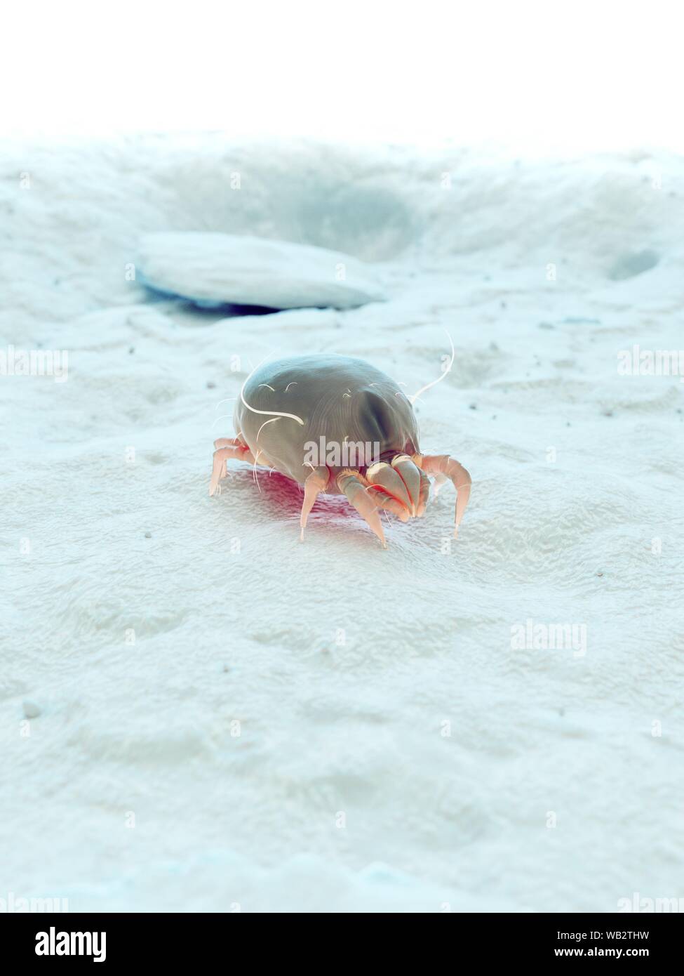 Dust ball monster hi-res stock photography and images - Alamy