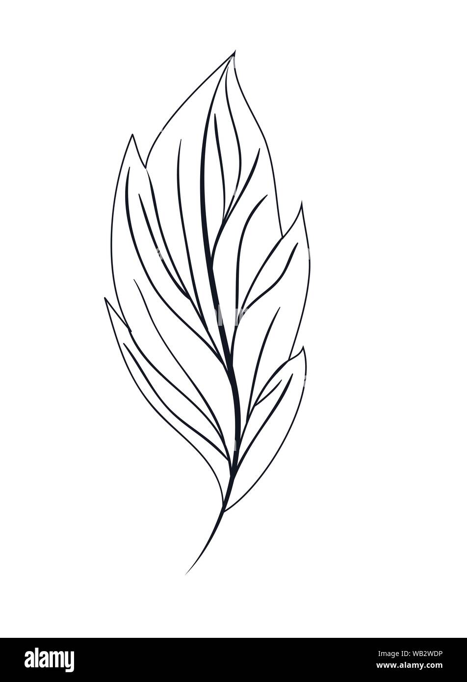 Branch With Leaf Isolated Icon Stock Vector Image Art Alamy
