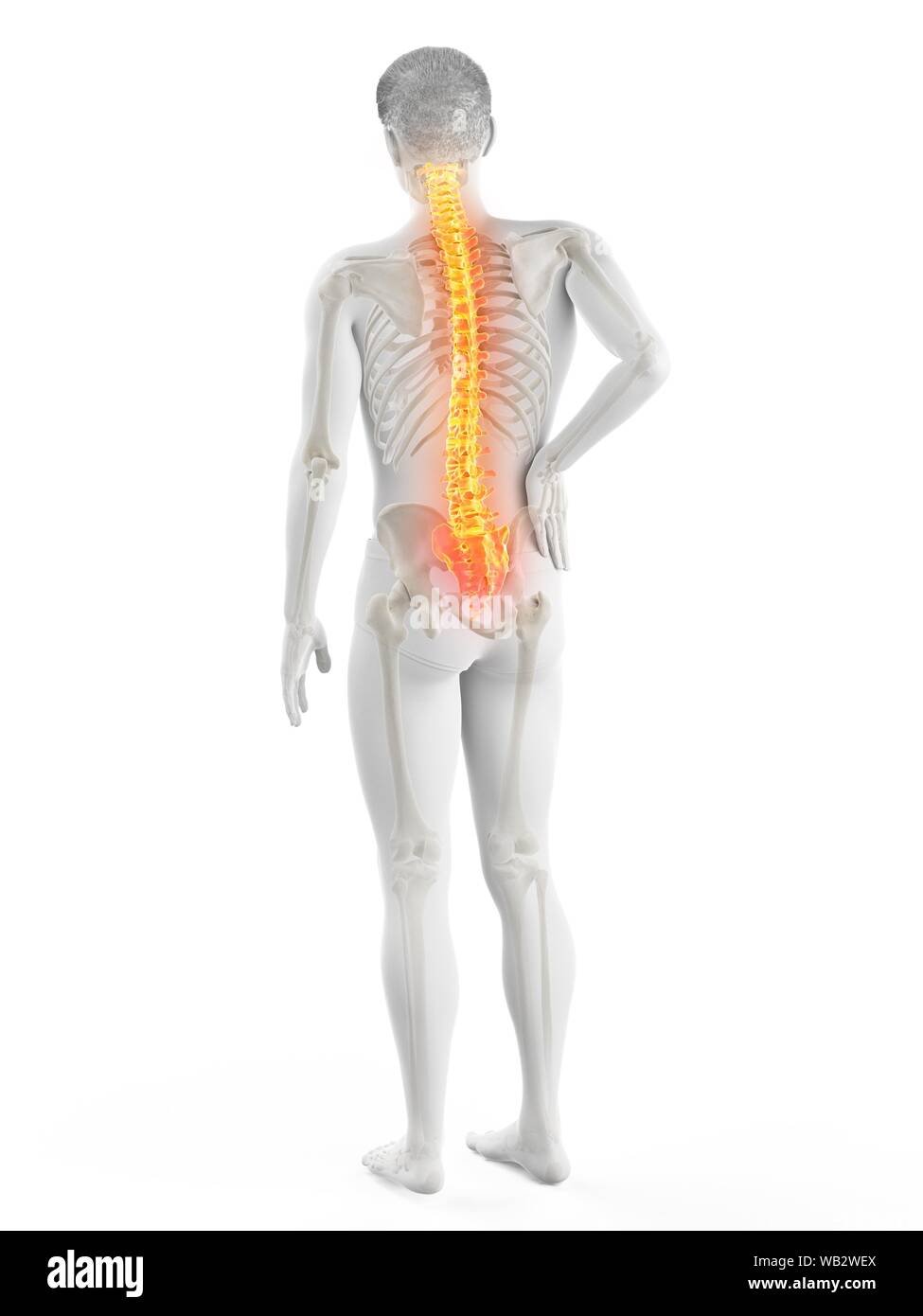 Column pain Cut Out Stock Images & Pictures - Alamy