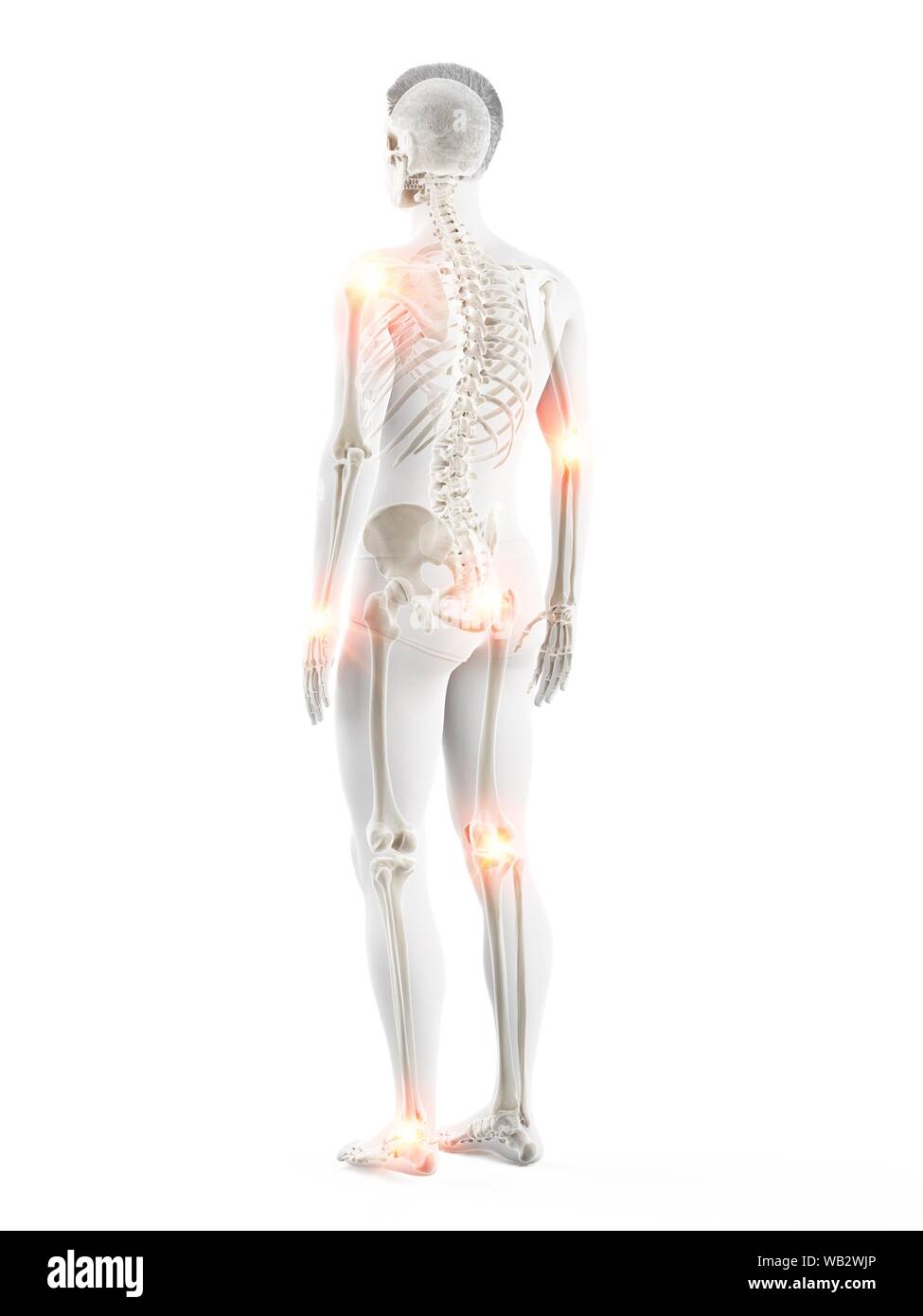 Human joint pain anatomy Cut Out Stock Images & Pictures - Alamy
