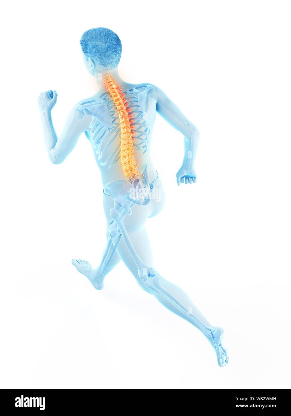 Man runner spine Cut Out Stock Images & Pictures - Alamy