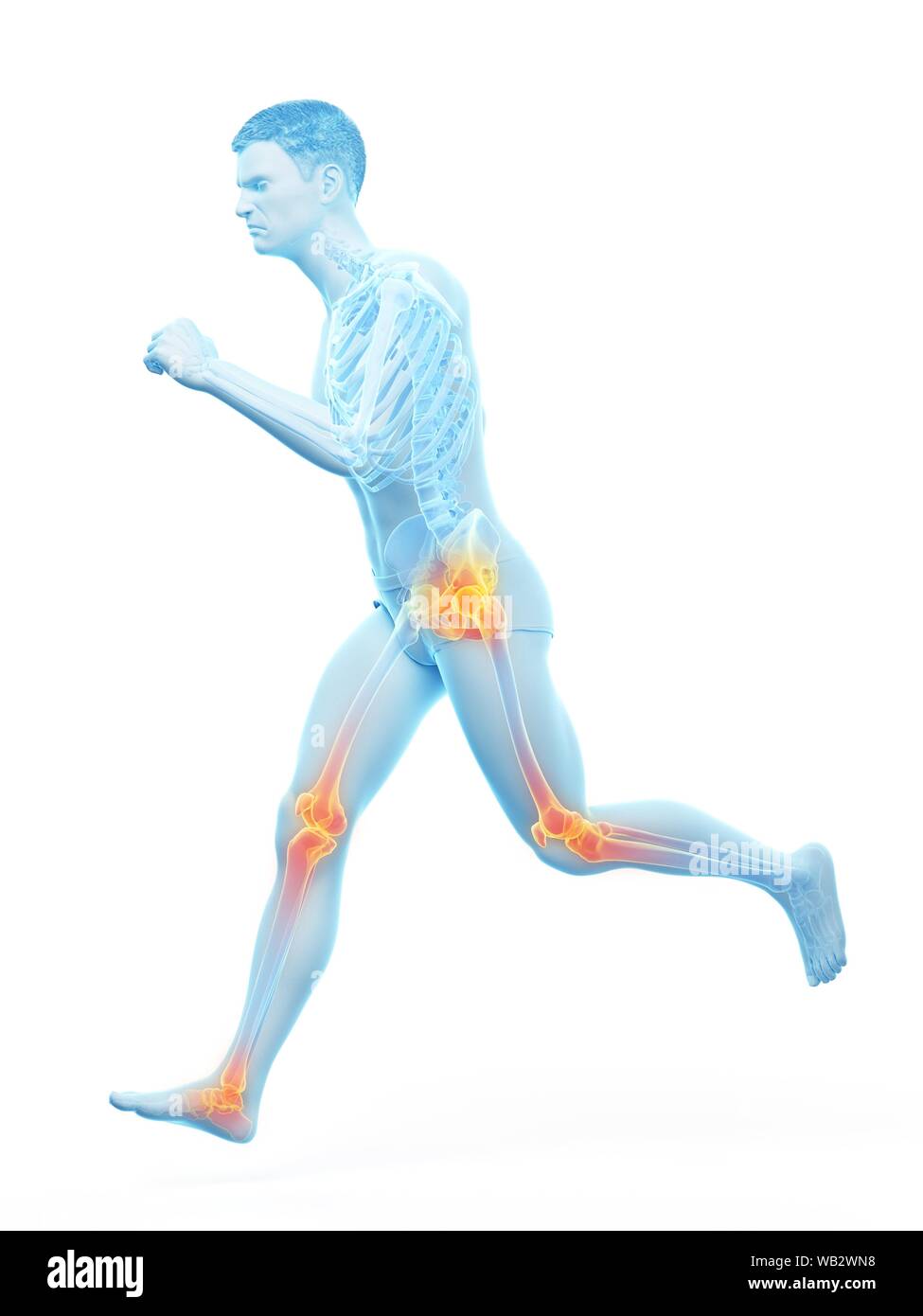Runner with joint pain, conceptual illustration Stock Photo - Alamy