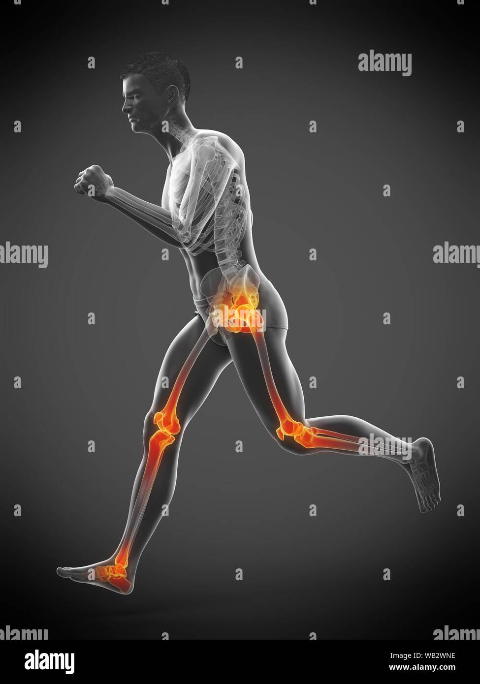 Runner with joint pain, conceptual illustration Stock Photo - Alamy