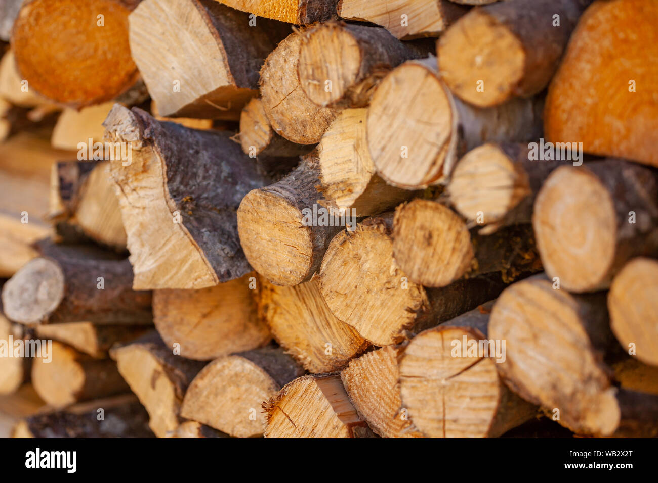 Splited firewood for fireplace or stone campfire stacked together. Tree ...