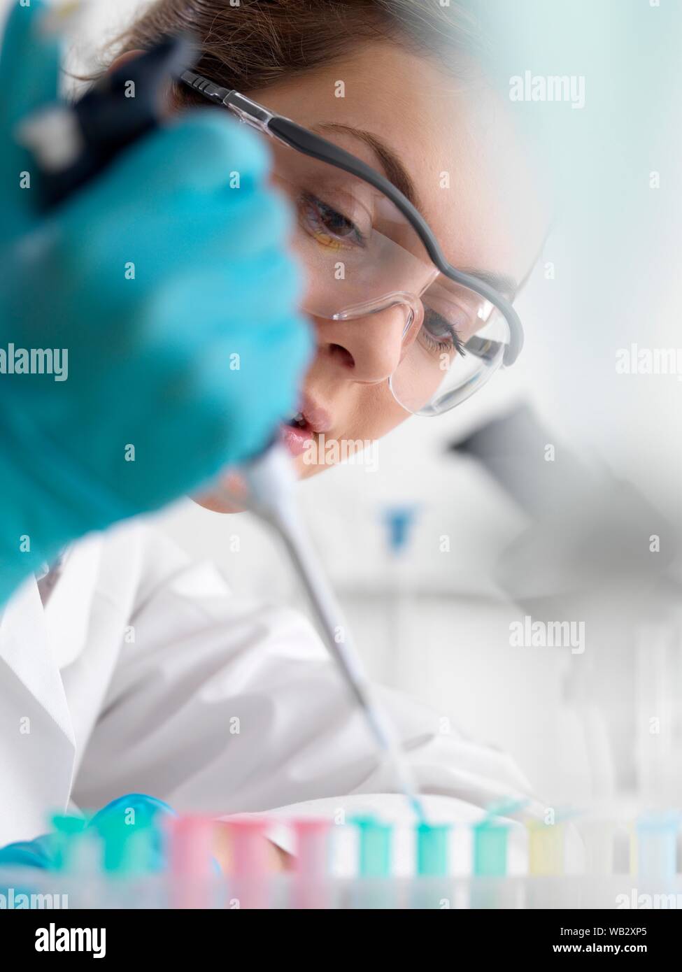 Biotechnology research. Scientist pipetting sample into a ...
