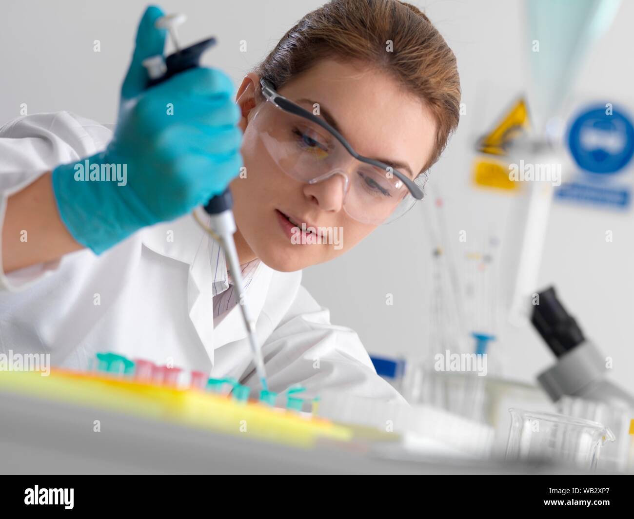 Biotechnology research. Scientist pipetting sample into a ...