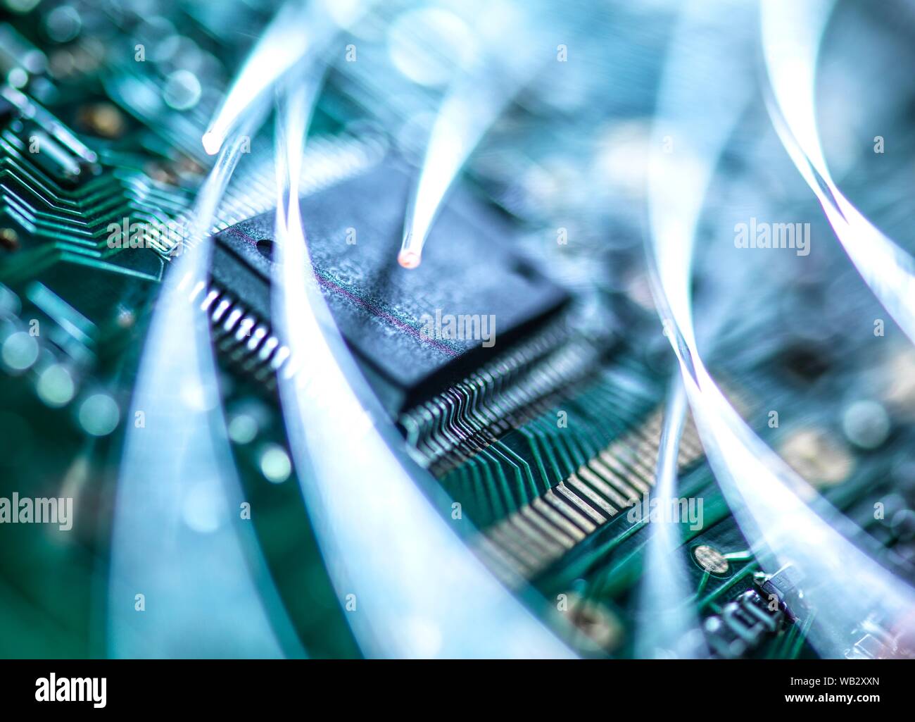 Digital communication, conceptual image. Fibre optics carrying data ...
