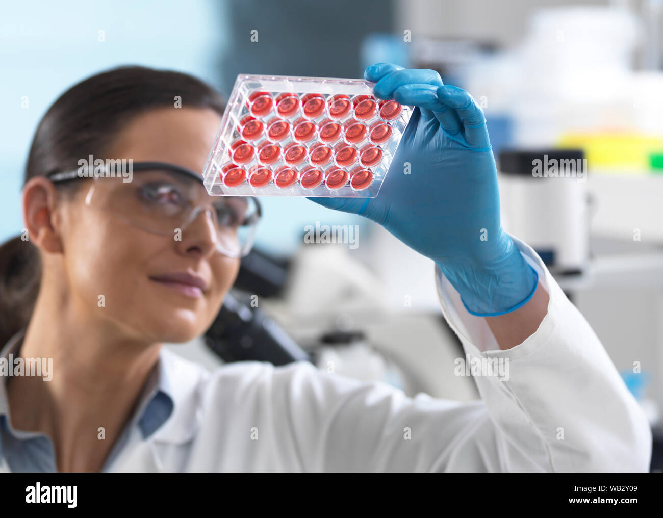 Cell research. Scientist viewing cell samples in a multiwell plate ...