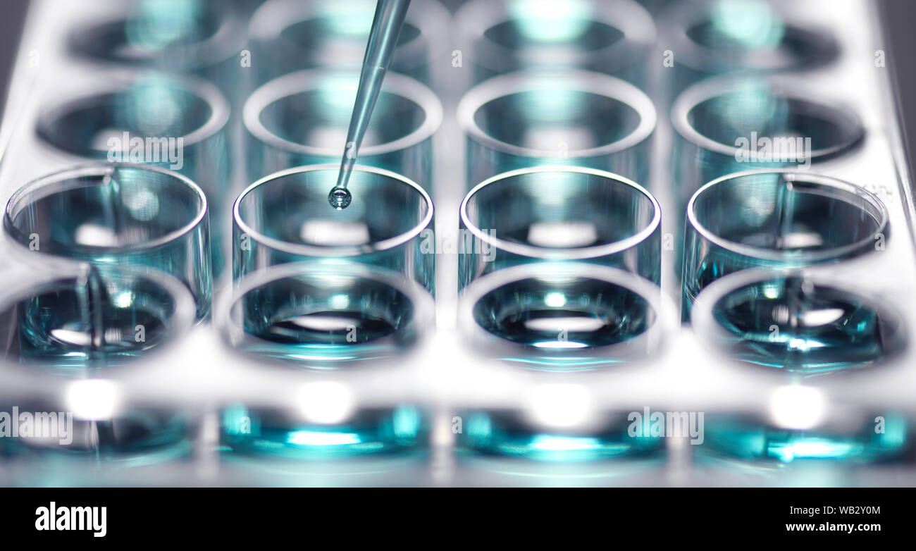 Pipetting sample into a multiwell plate ready for analysis Stock Photo ...