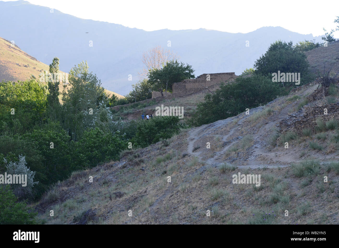 Forested valley bottom near the village of Uhum in the Nuratau ridge ...