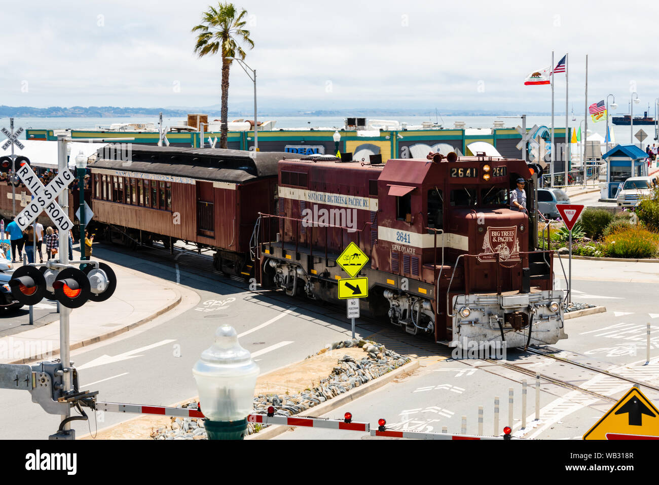 Big Trees Near Santa Cruz at Scott Lanier blog