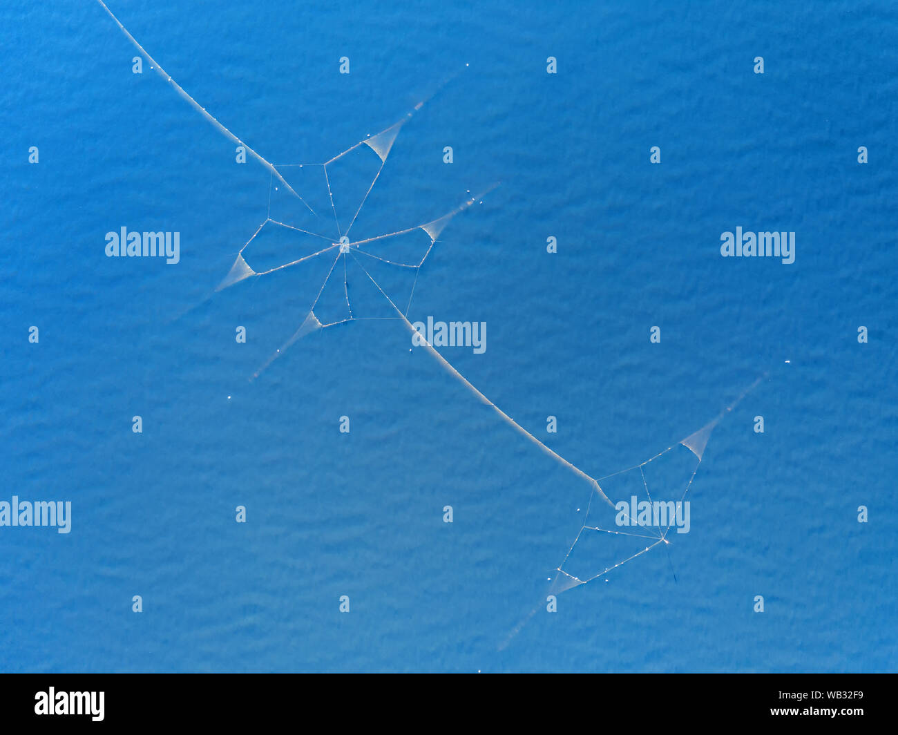 Fishing net top view hi-res stock photography and images - Alamy