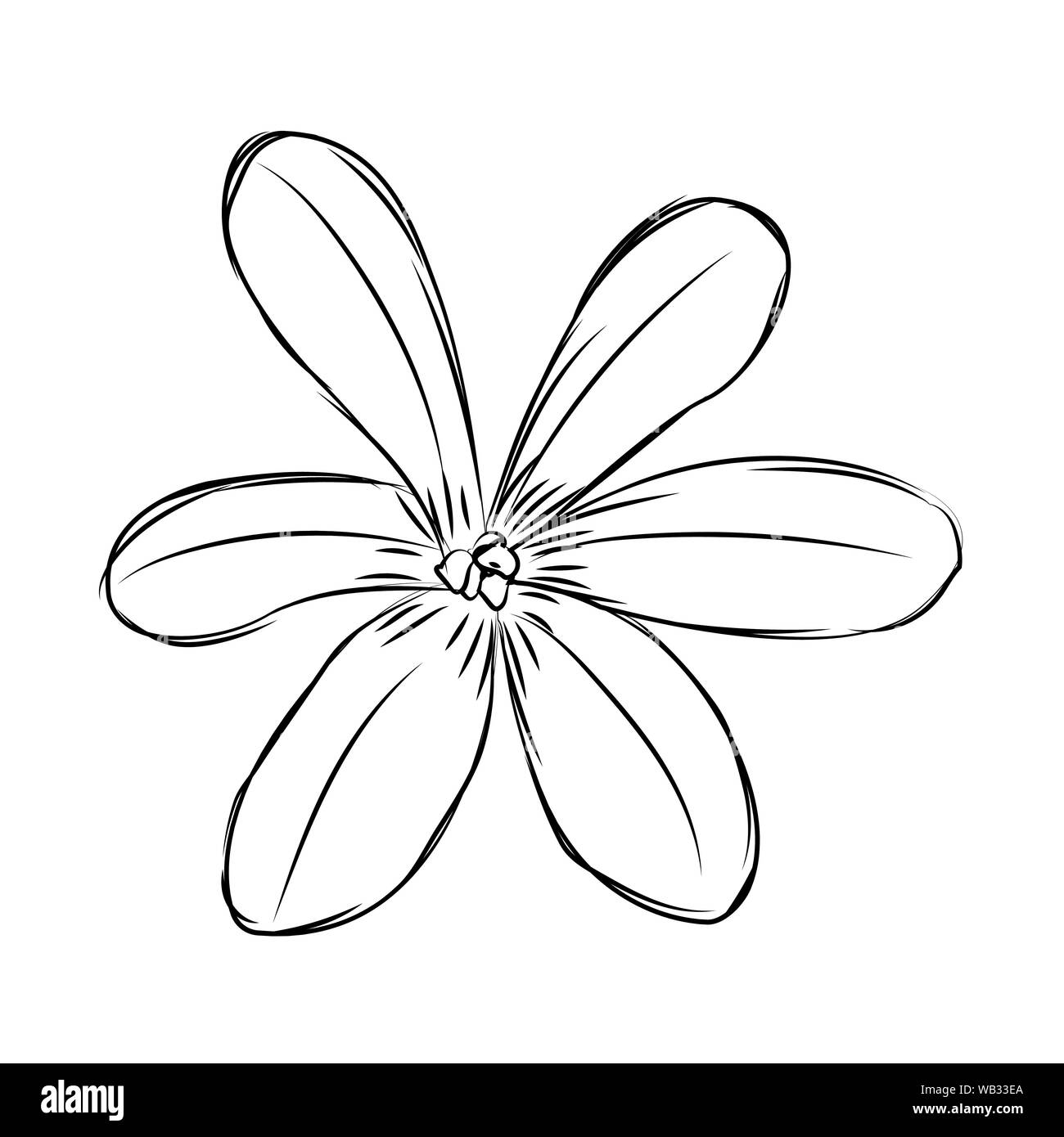 Abstract cute flower Stock Vector Image & Art - Alamy