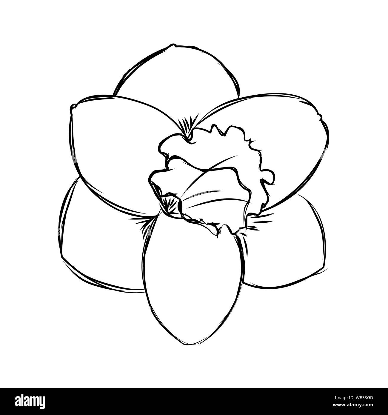 Abstract cute flower Stock Vector Image & Art - Alamy