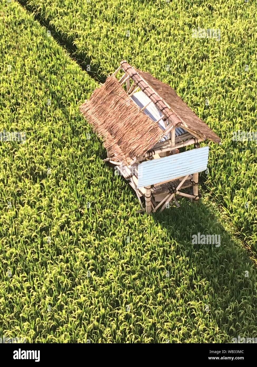 Aerial shot of a small wooden hut in the middle of a grassy field at ...