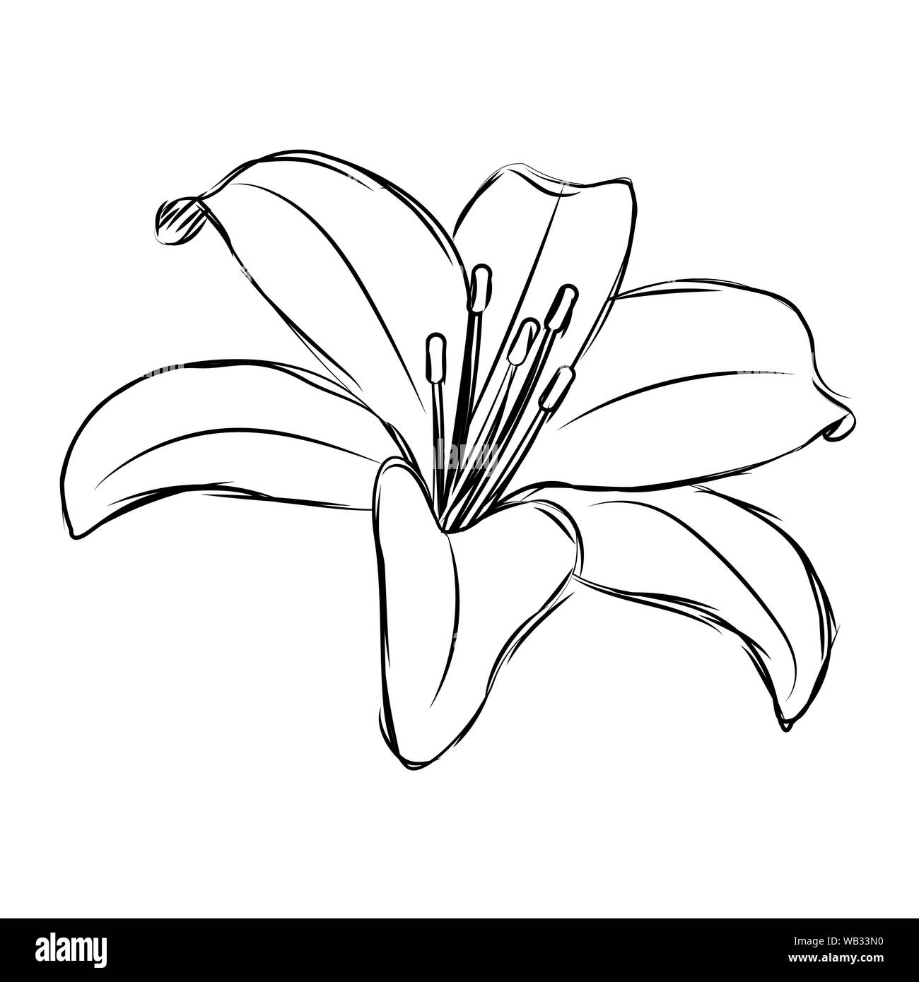 Abstract cute flower Stock Vector Image & Art - Alamy