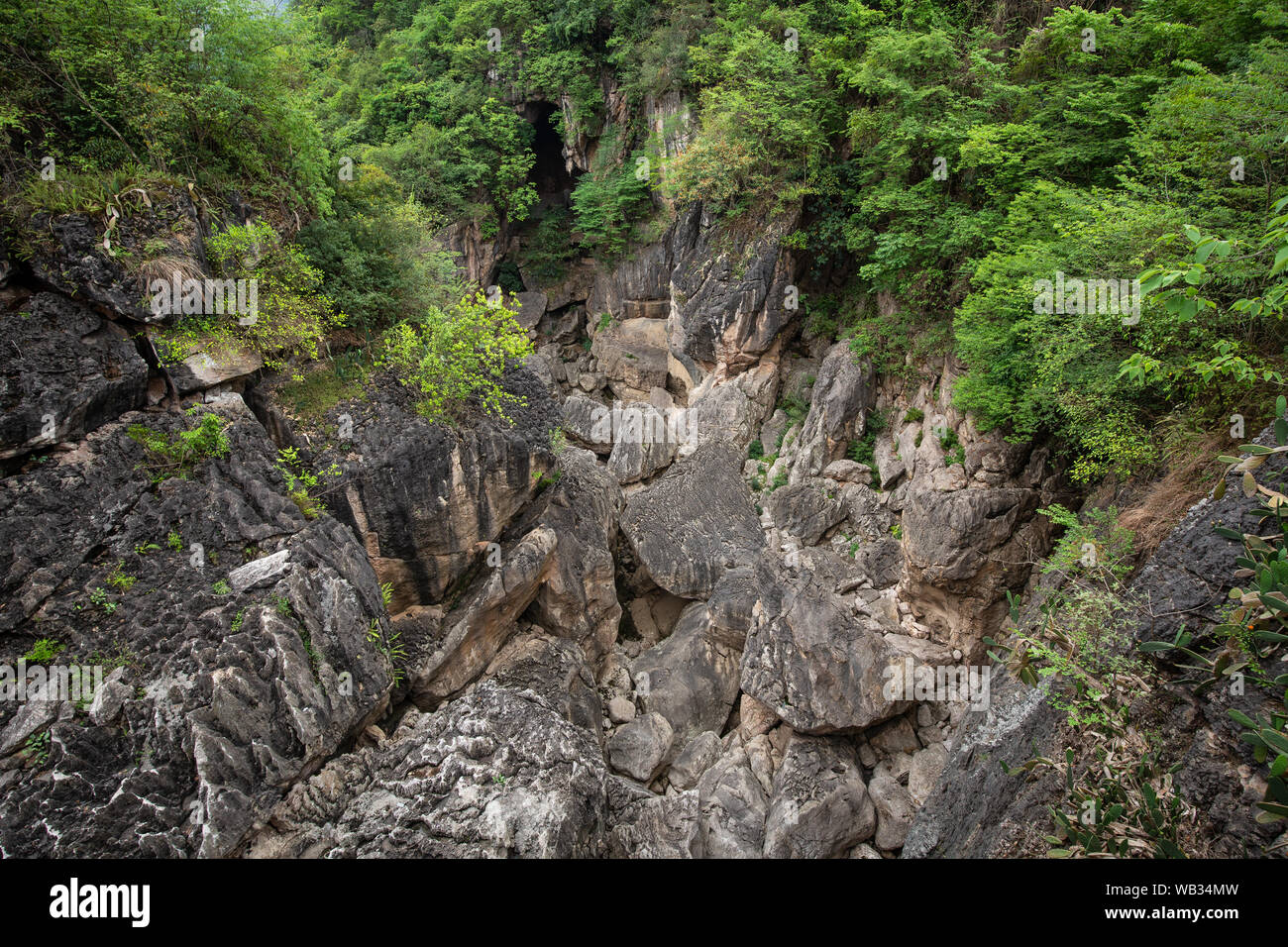 rocks and trees on the mountain Stock Photo - Alamy