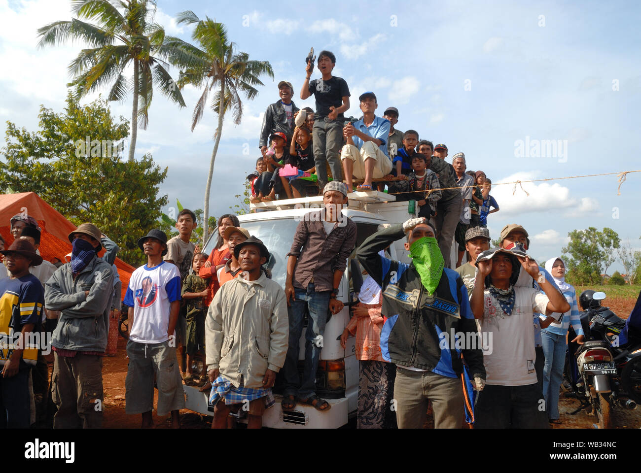 Karapan Sapi, bull race in Madura island, Indonesia Stock Photo - Alamy