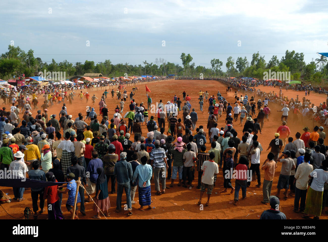Karapan Sapi, bull race in Madura island, Indonesia Stock Photo - Alamy