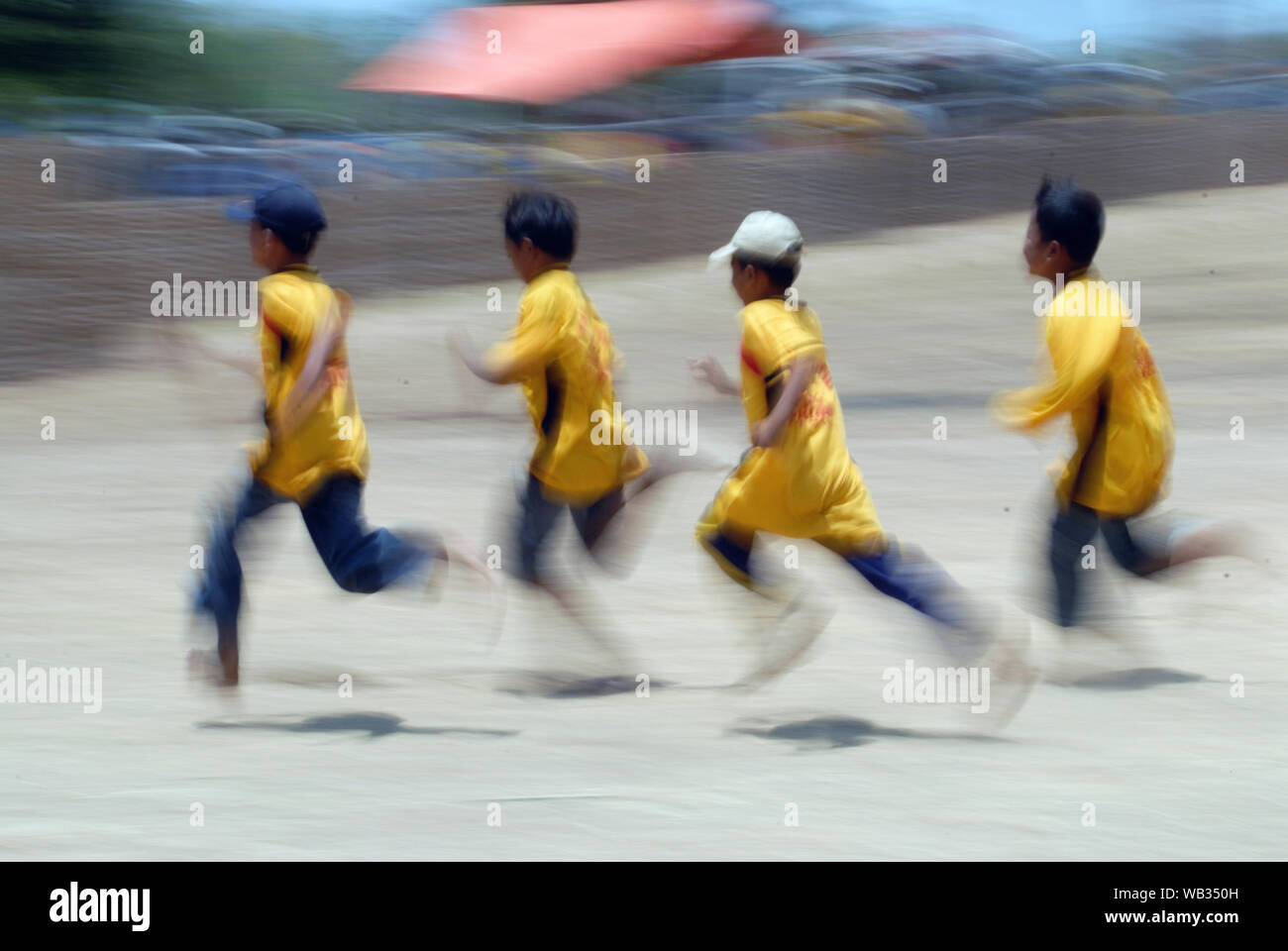 Karapan Sapi, bull race in Madura island, Indonesia Stock Photo - Alamy