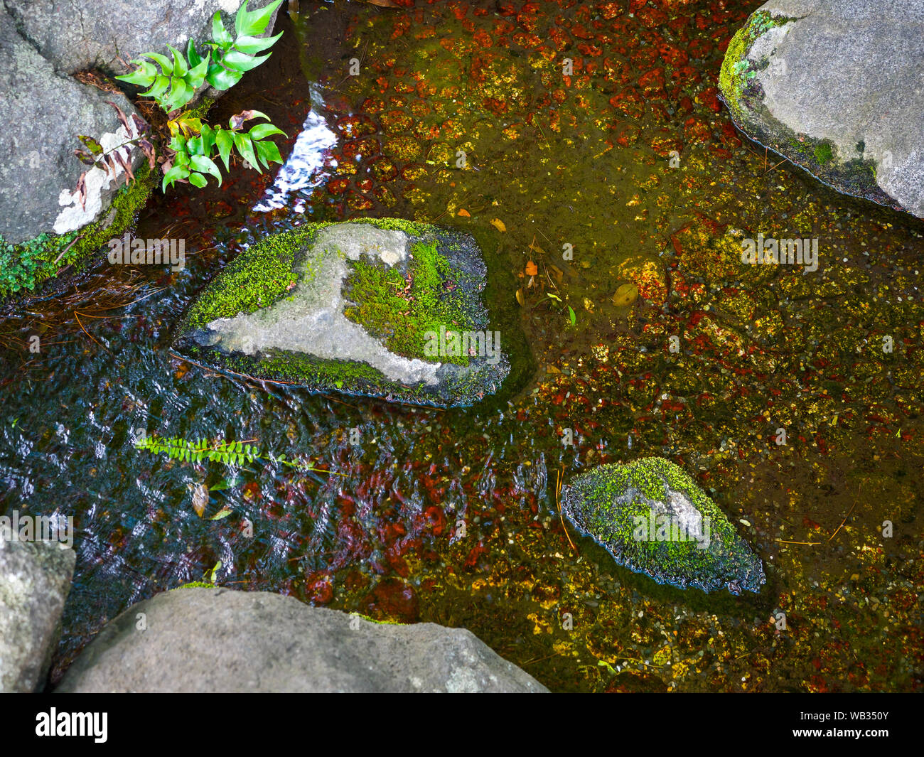 A small stream in a traditional Japanese garden Stock Photo - Alamy