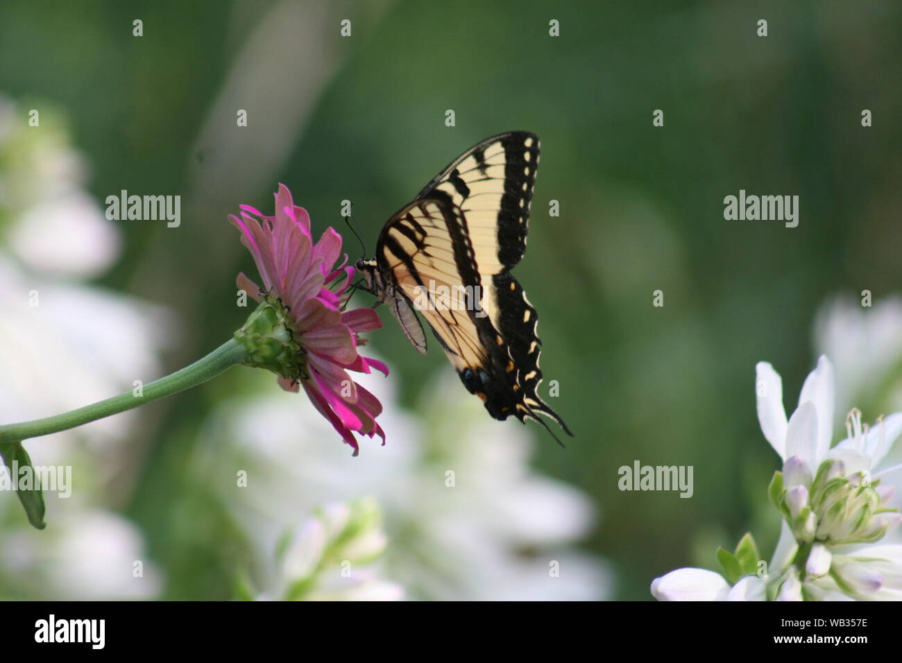 From another angle Stock Photo - Alamy