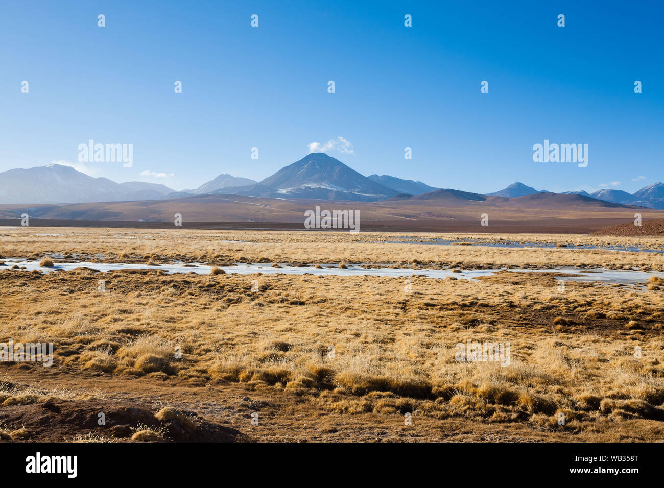 Chilean landscape, lagoon and Licancabur volcano. Chile panorama Stock ...