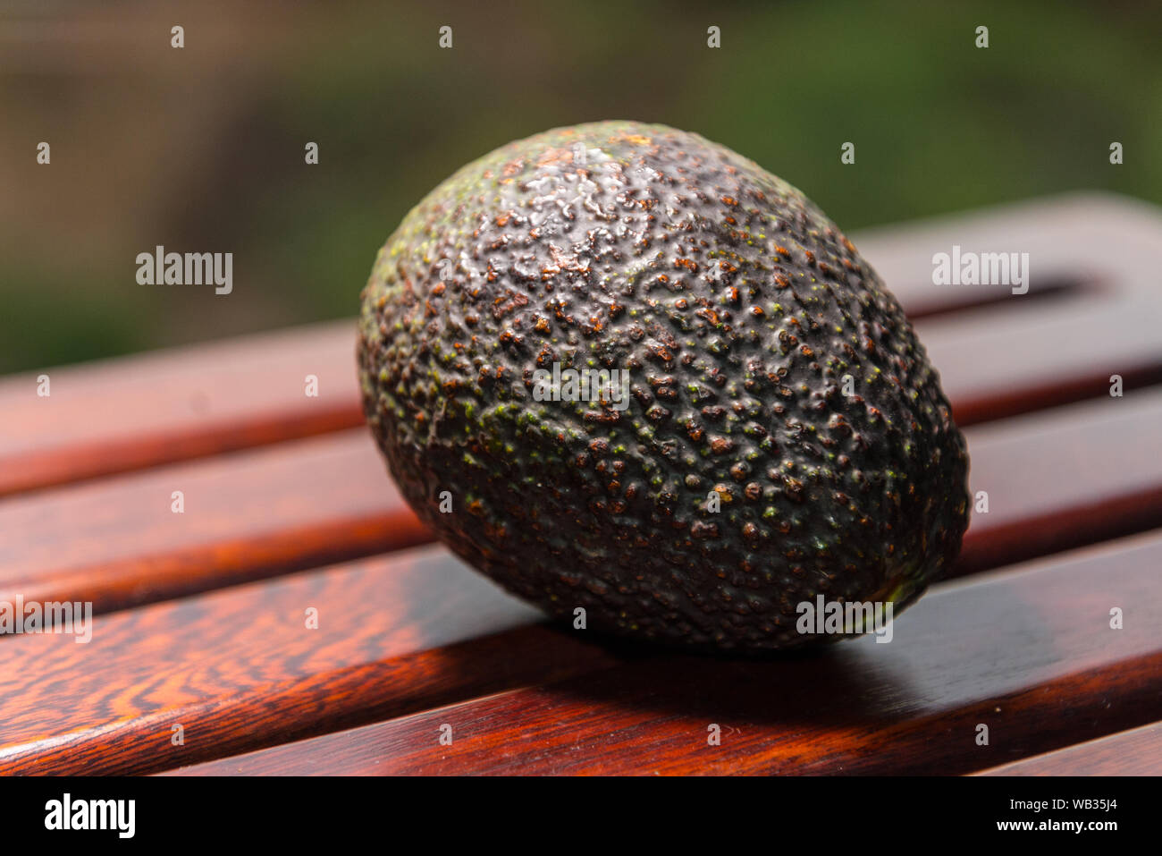Avocado fruit from Michoacan Mexico Stock Photo - Alamy