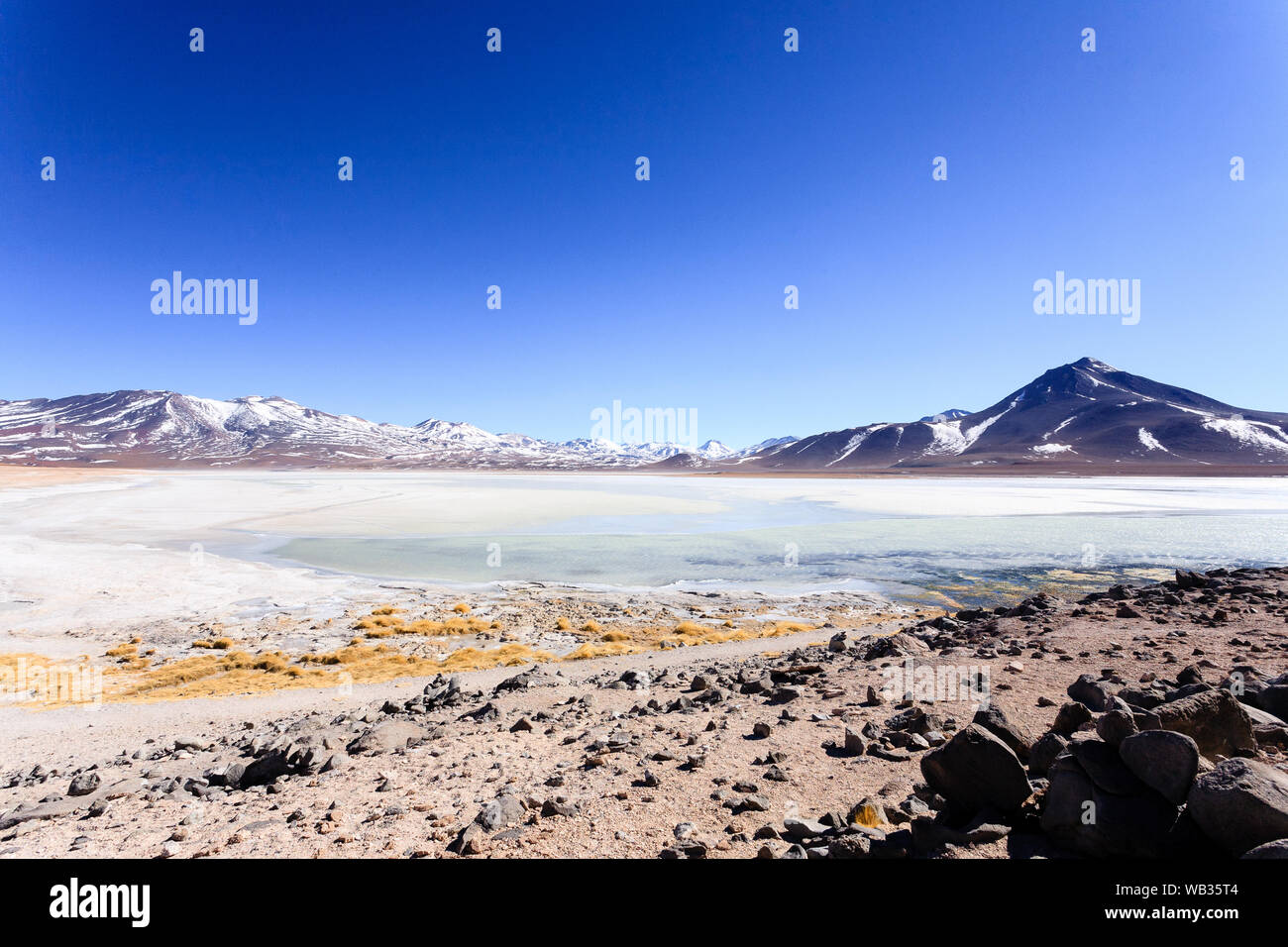 Laguna Blanca landscape,Bolivia. Beautiful bolivian panorama.White ...