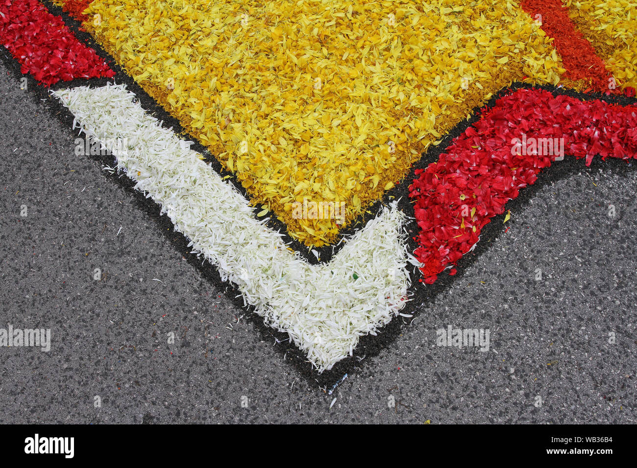 flower petals, grains, rice, beans and seeds with an abstract pattern ...