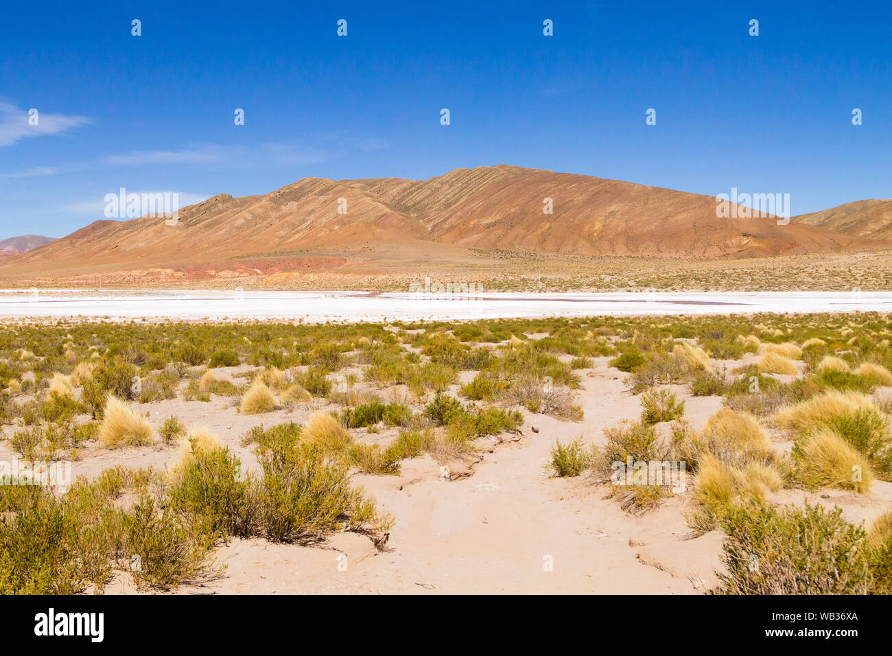 Bolivian mountains landscape,Bolivia.Andean plateau view Stock Photo ...