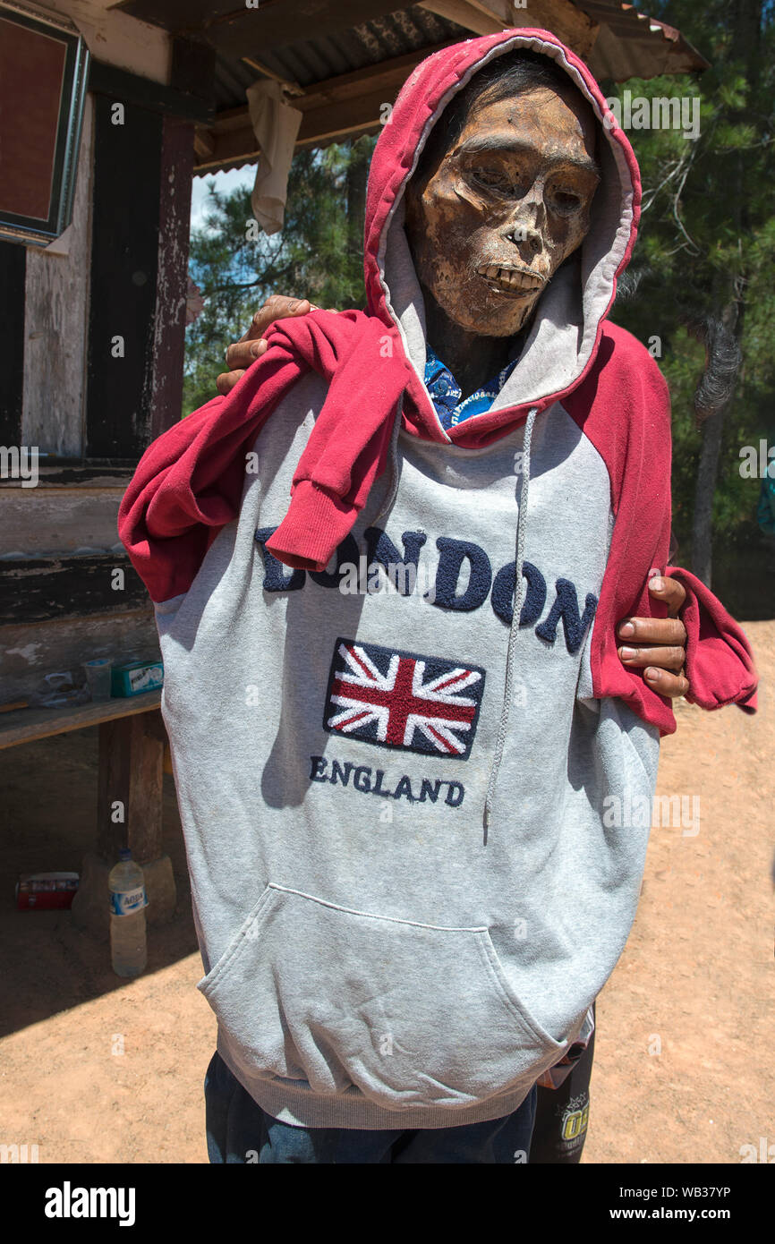 All cultures have their own art, but in Indonesia, in the province of ...