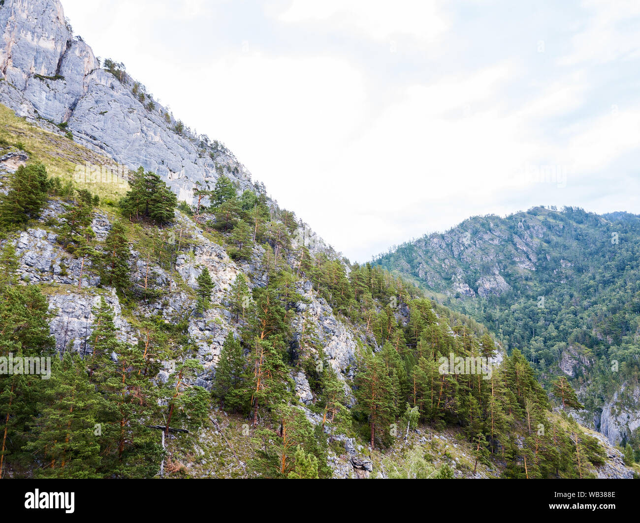 landscape of the ridge covered with green trees and view a valley ...