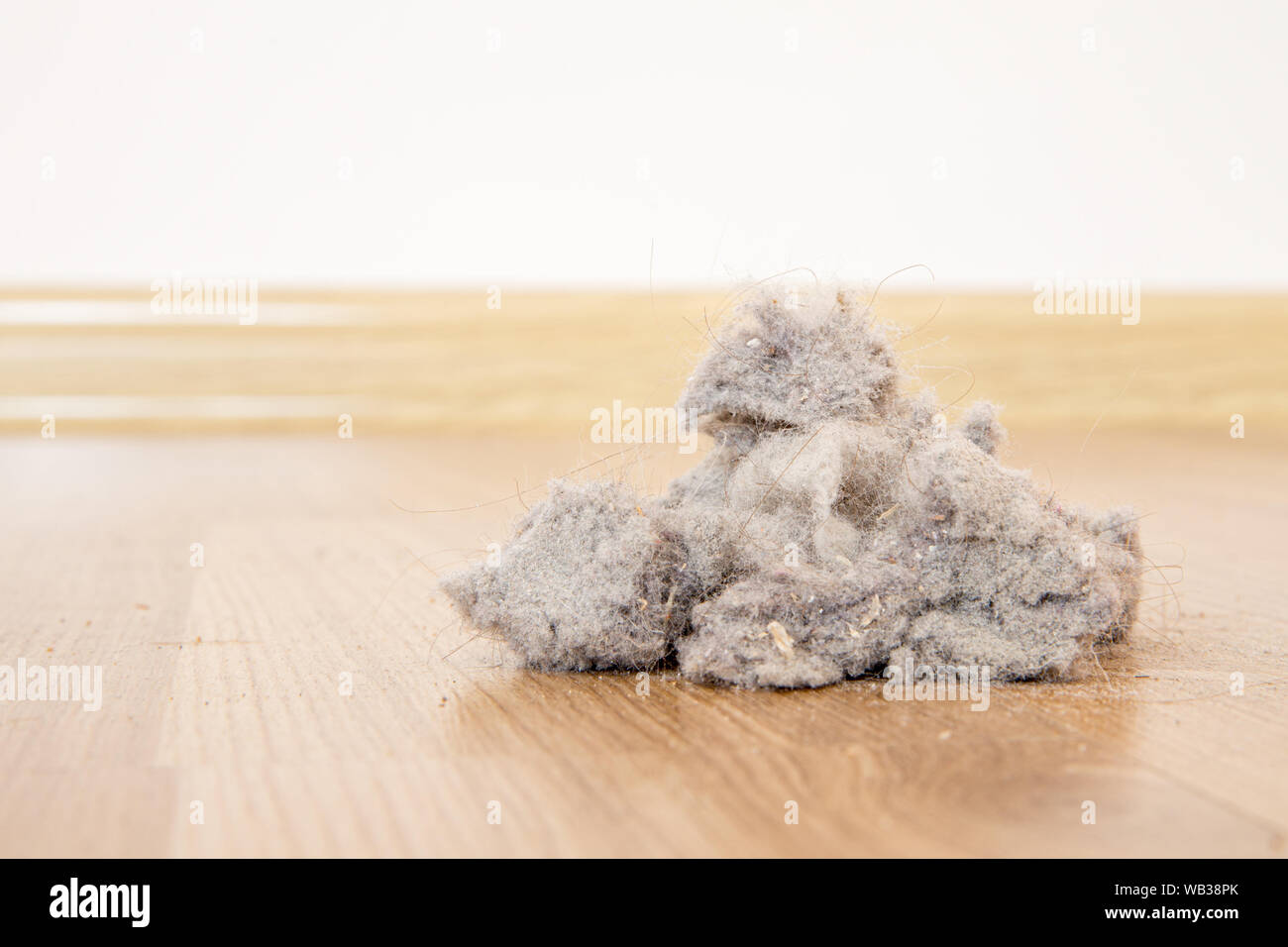 Dust dirt lint hi-res stock photography and images - Alamy